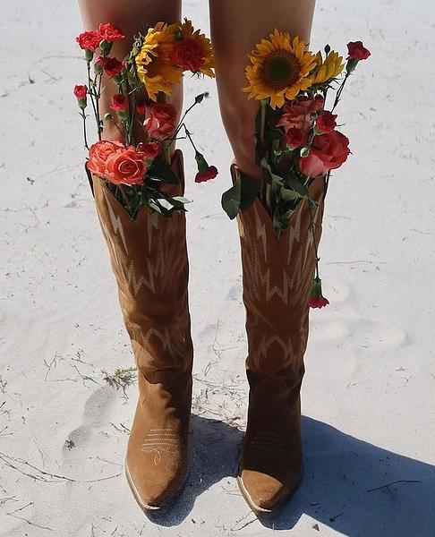 Partner– Dingo1969